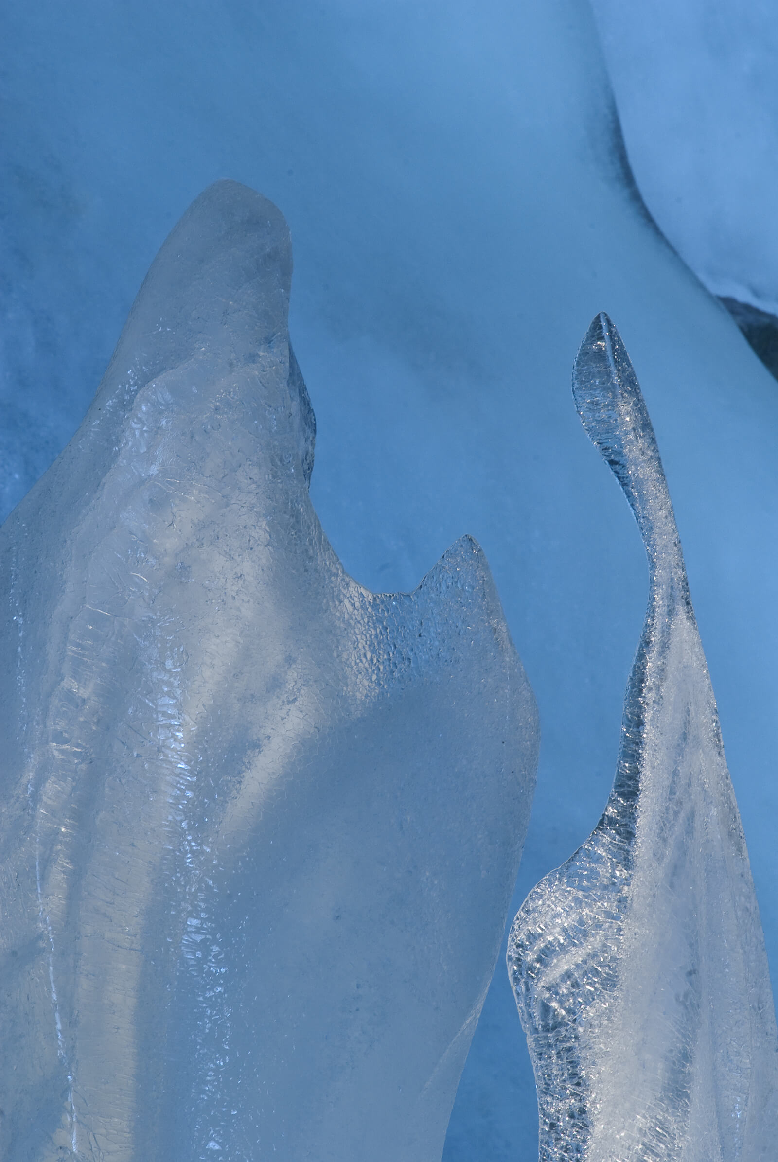 Angyali üdvözlet a Pádis-fennsíkon - Te is lehetsz fotós!